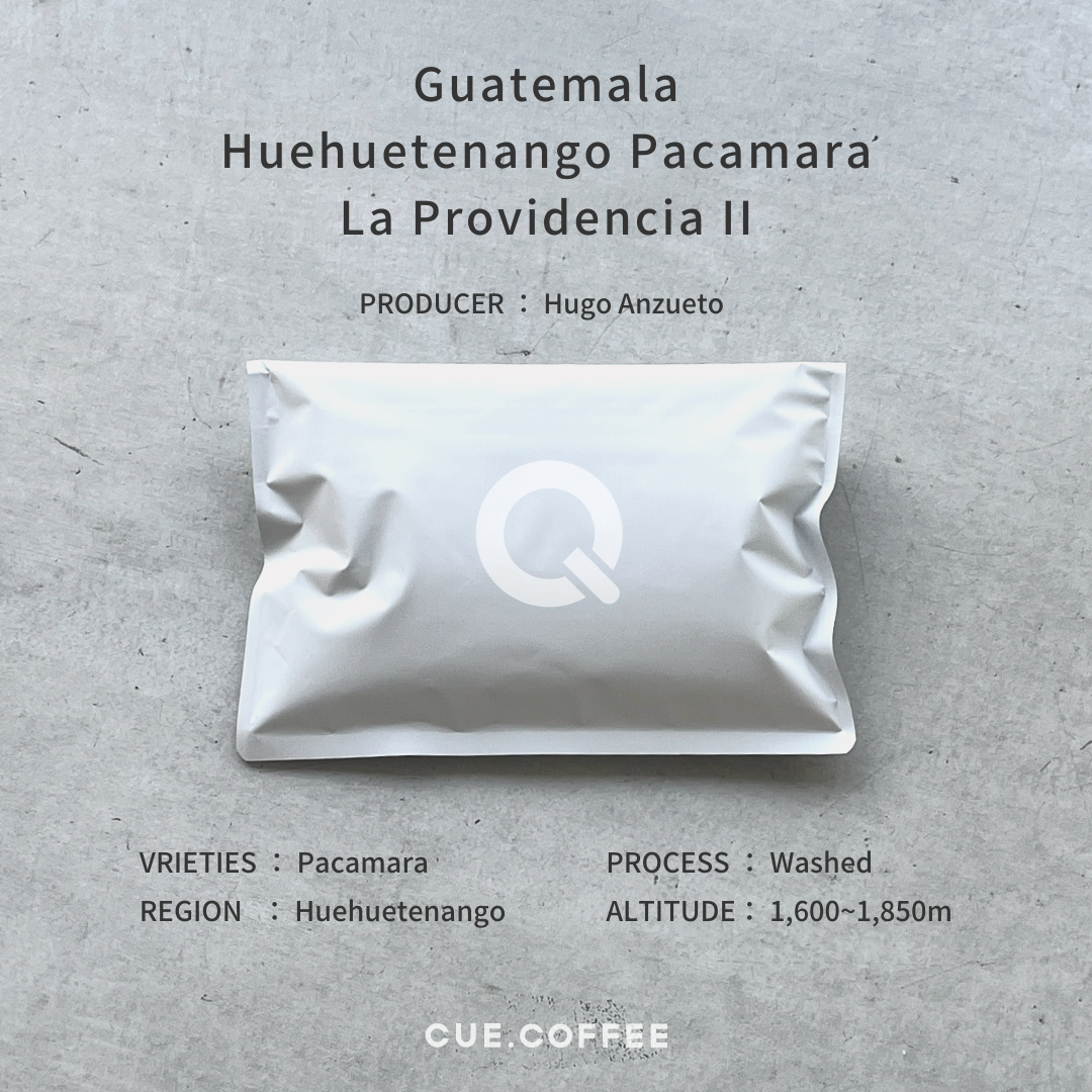 グアテマラ ウエウエテナンゴ パカマラ〈ウォッシュ〉200gを仕入れる | ECモールに無い商品の仕入れならorosy（オロシー）