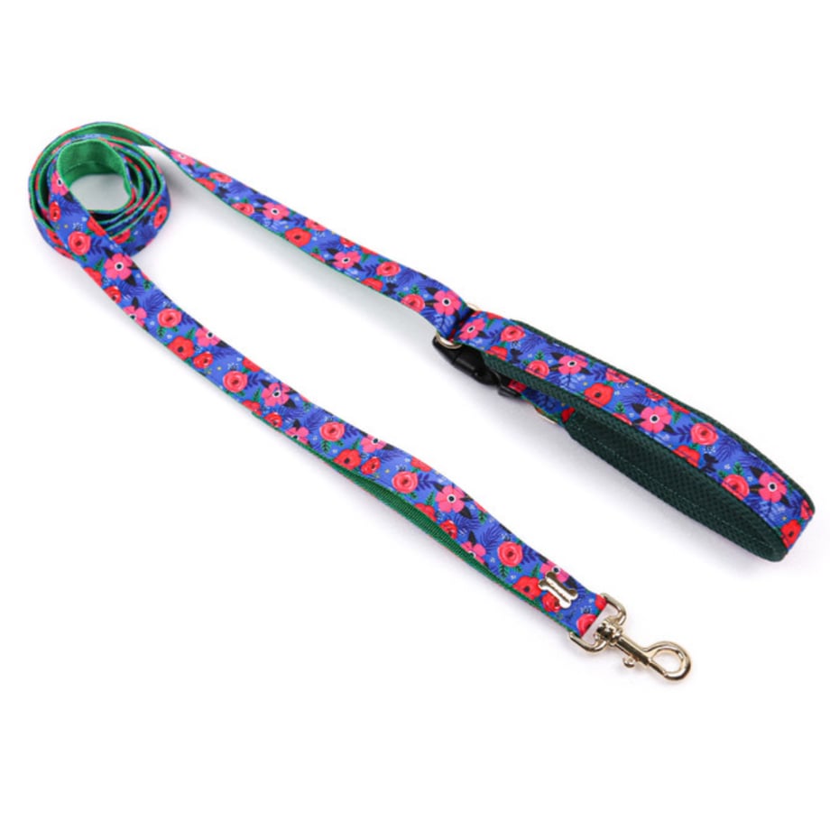 Blue Gardenブルーガーデン ベルトリード 7kg以上を仕入れる | ECモールに無い商品の仕入れならorosy（オロシー）