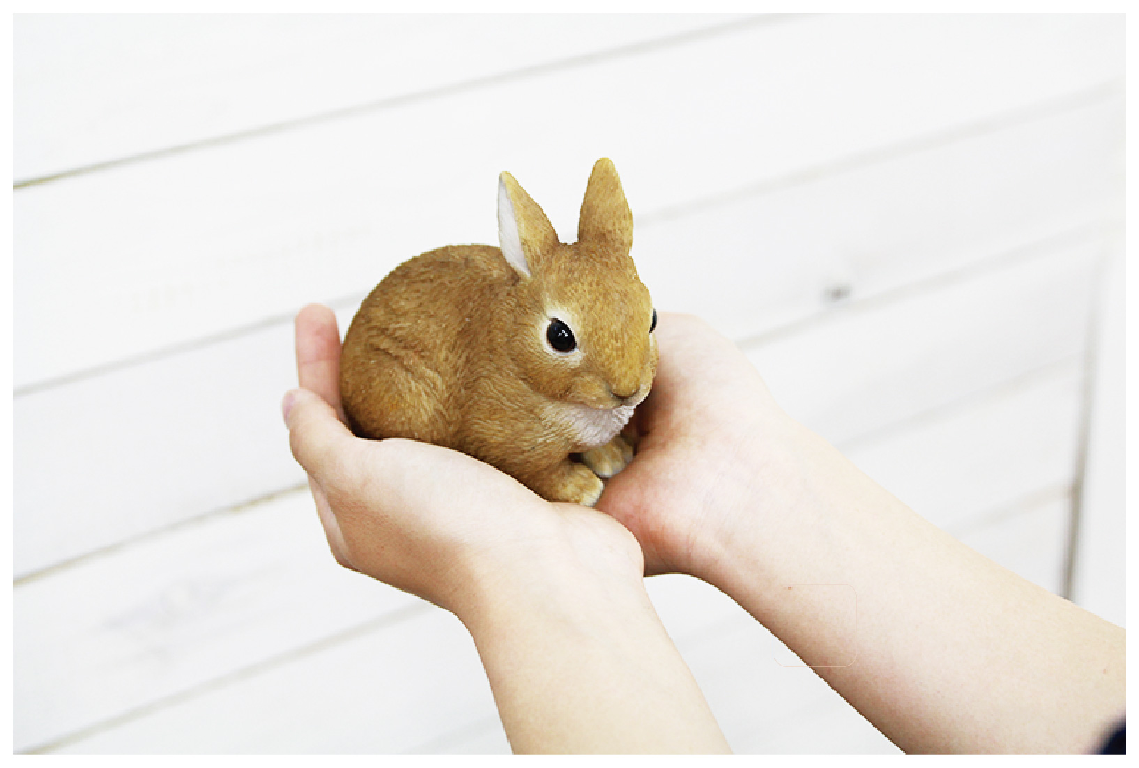 PET BANK RABBITを仕入れる | ECモールに無い商品の仕入れならorosy（オロシー）