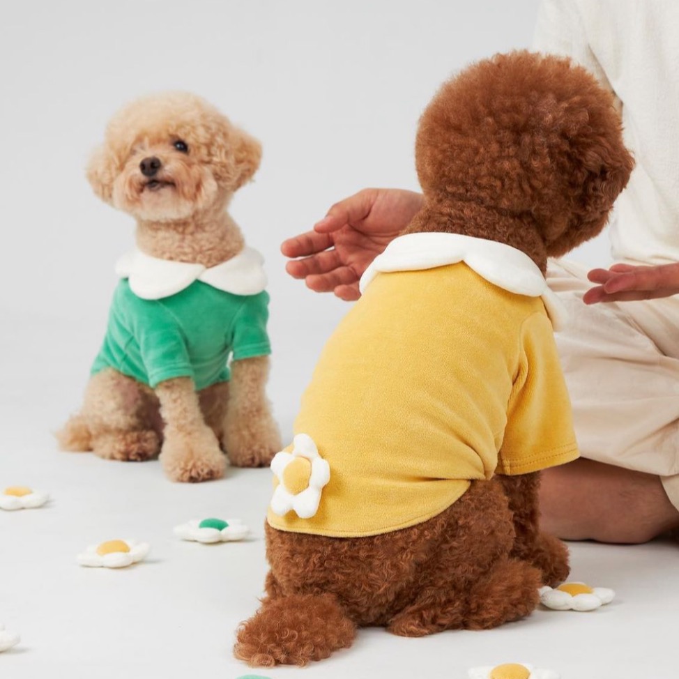 NORADOGの商品一覧 | ECモールに無い商品の仕入れならorosy（オロシー）