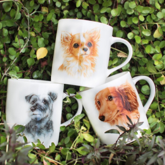 わんコレの商品一覧 | ECモールに無い商品の仕入れならorosy（オロシー）