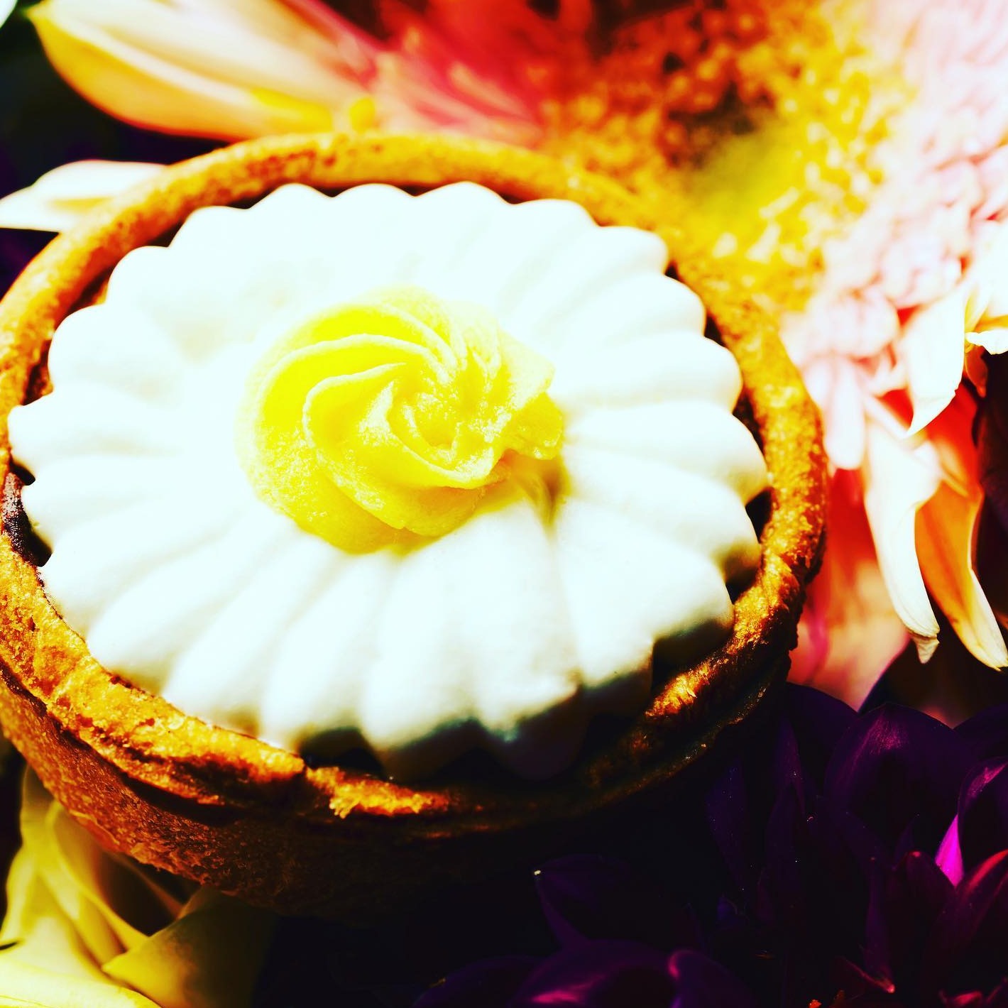 フラワーキッシュの商品一覧 | ECモールに無い商品の仕入れならorosy（オロシー）