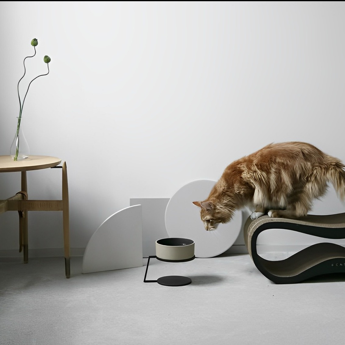 ＆CATの商品一覧 | ECモールに無い商品の仕入れならorosy（オロシー）